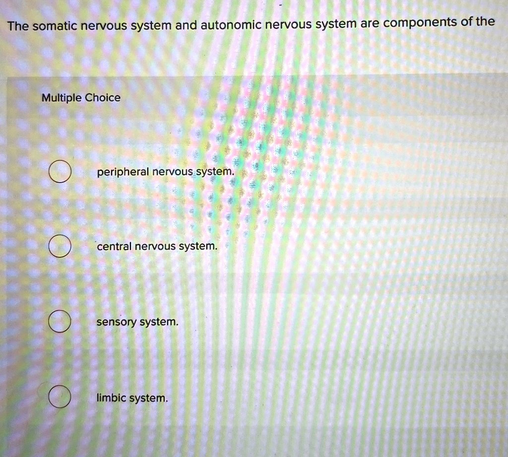 the somatic nervous system and autonomic nervous system are components ...
