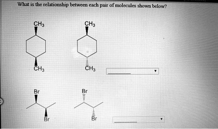 SOLVED: What is the relationship between each pair of molecules shown below? CH; CH3 CH3 CH3