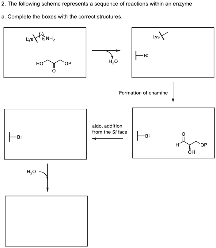 The Following Scheme Represents A Sequence Of Reactions Within An