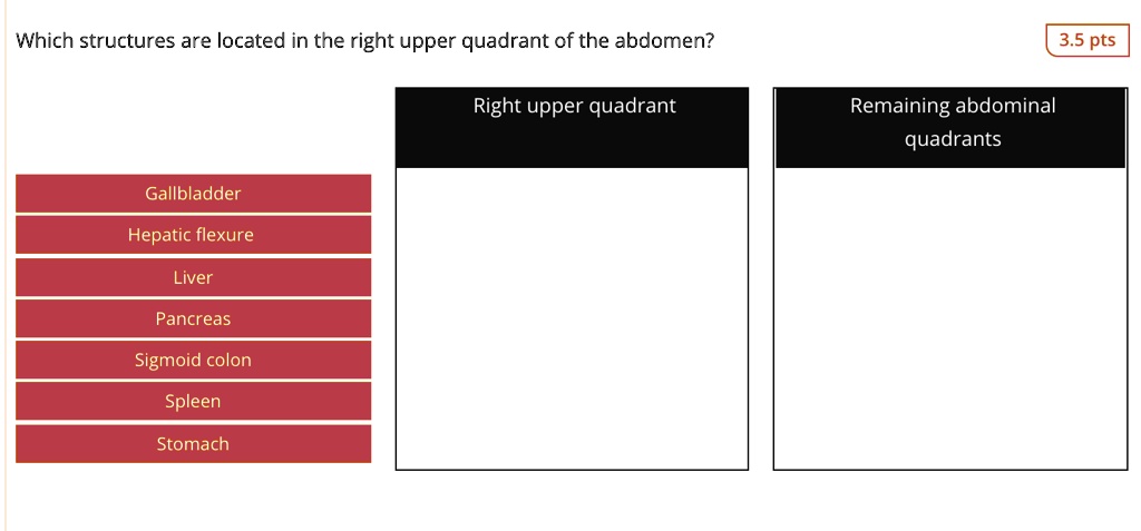 Gallbladder Location Quadrant