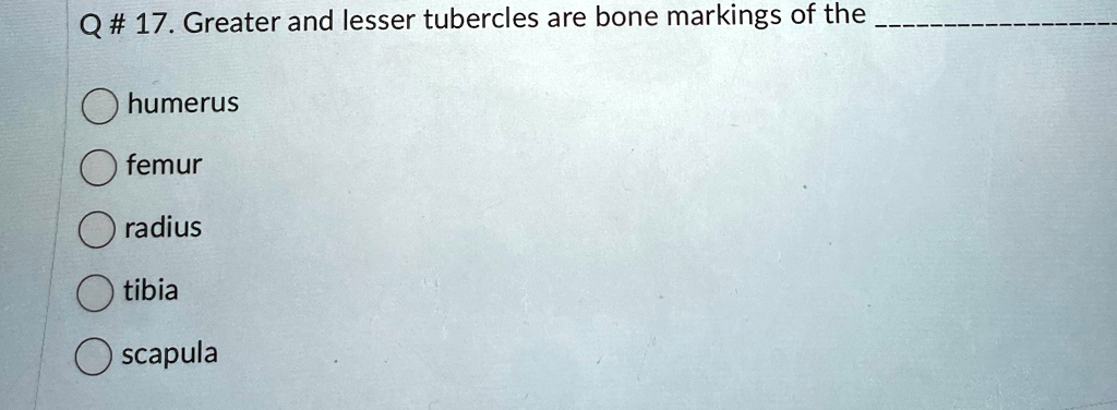 q 17 greater and lesser tubercles are bone markings of the humerus ...