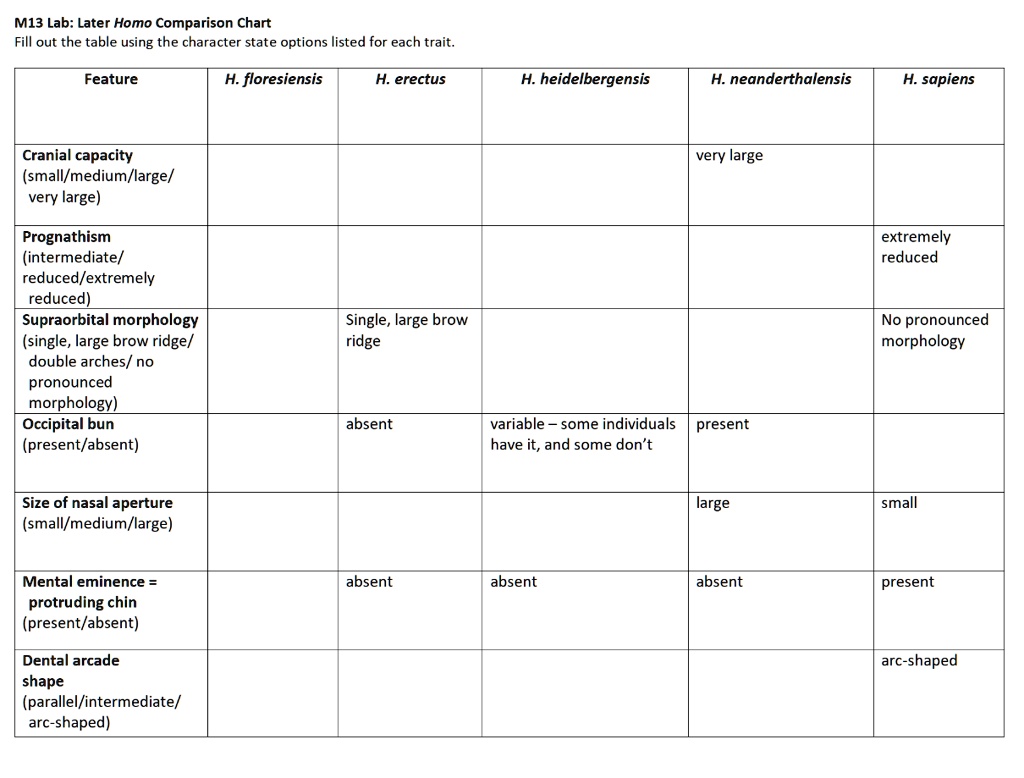 M13 Lab: Later Homo Comparison Chart Fill out the table...