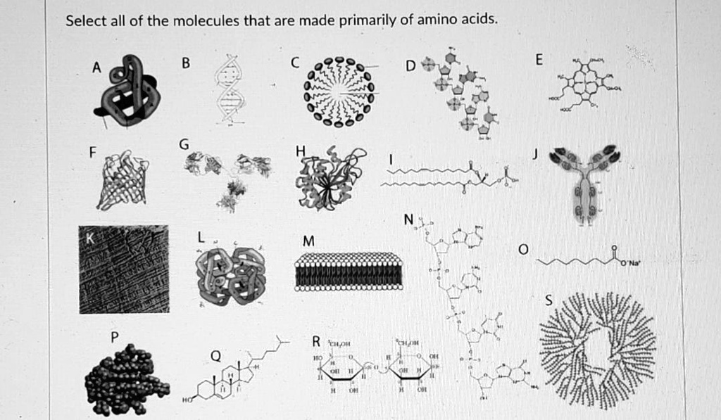 SOLVED: Select all of the molecules that are made primarily of amino ...