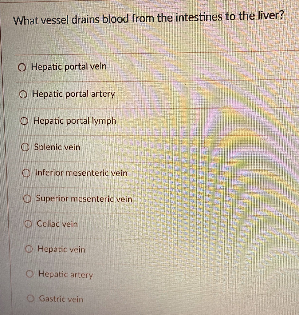 What vessel drains blood from the intestines to the liver? Hepatic ...