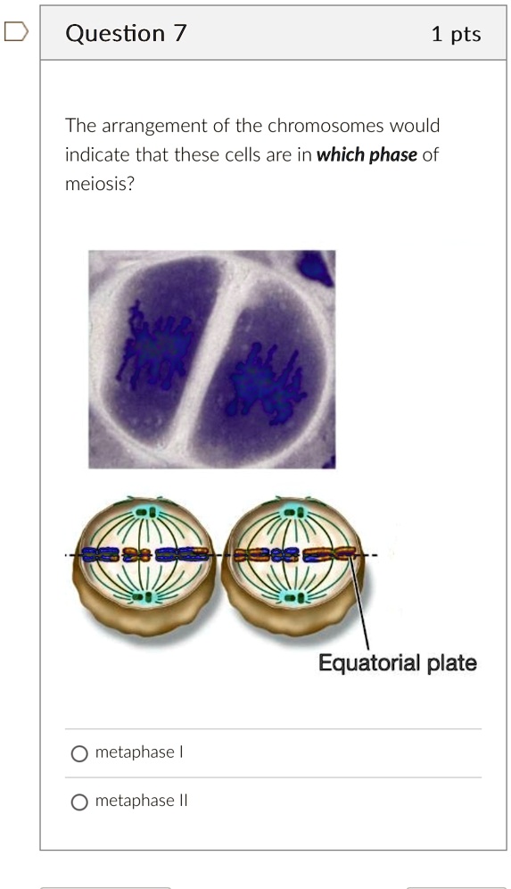 Question 7 1 pts The arrangement of the chromosomes would indicate that ...