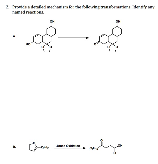 SOLVED:Provide detailed mechanism for the following transformations ...