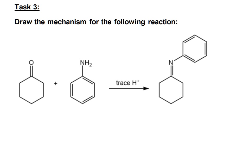SOLVED: Task 3: Draw the mechanism for the following reaction: NH2 trace H+
