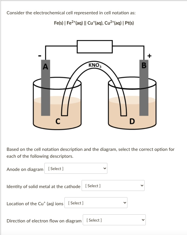 Consider the electrochemical cell represented in cell notation as: Fe(s ...
