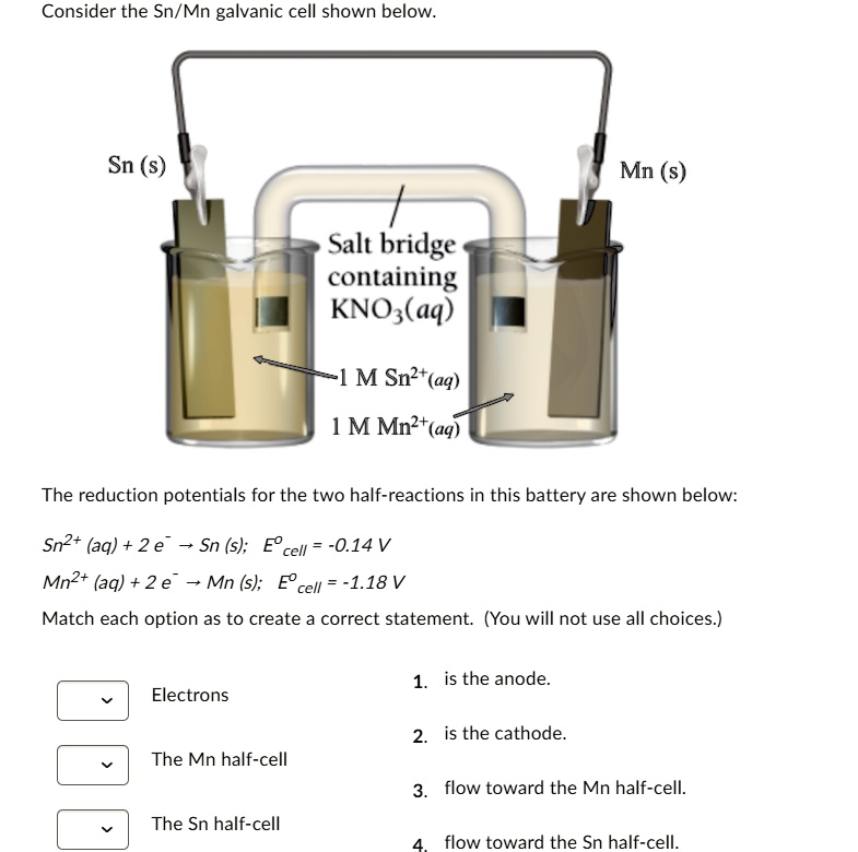 SOLVED: Consider the Sn/Mn galvanic cell shown below: Sn (s) Mn (s ...