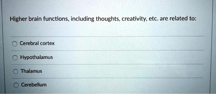 SOLVED: Higher brain functions, including thoughts, creativity, etc are ...