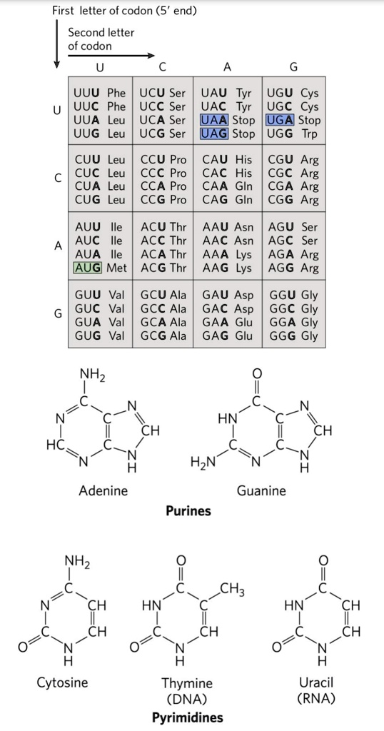 [GET ANSWER] 1 draw the molecular structure yes the full structure with ...