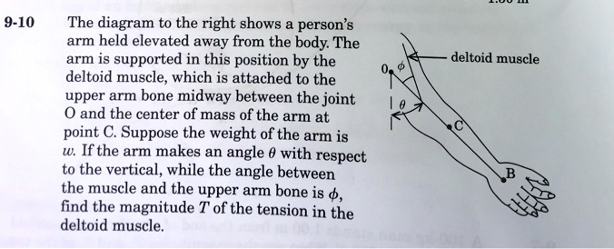 9-10 The diagram to the right shows a person's arm held elevated away ...