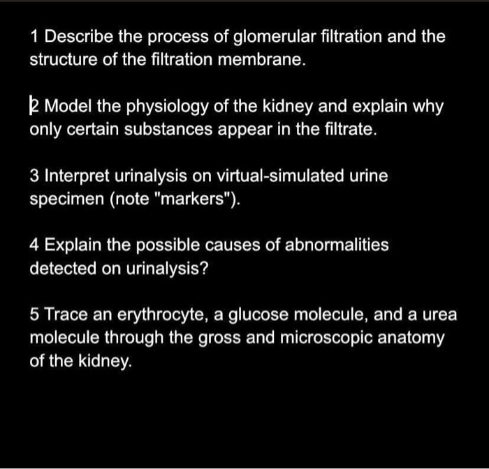 SOLVED: 1. Describe the process of glomerular filtration and the ...