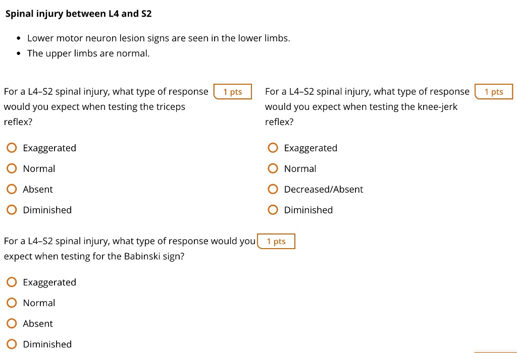 SOLVED: Spinal injury between L4 and S2 Lower motor neuron lesion signs ...
