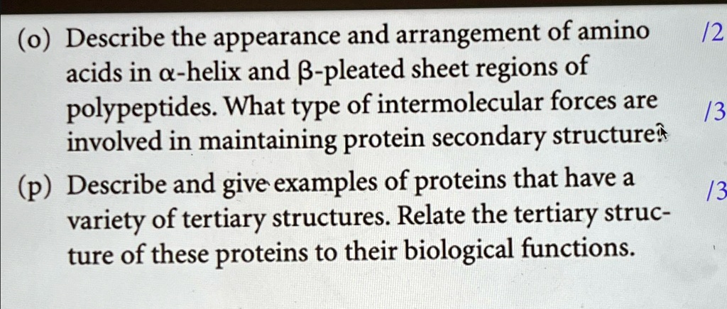 (o) Describe the appearance and arrangement of amino acids in α-helix ...