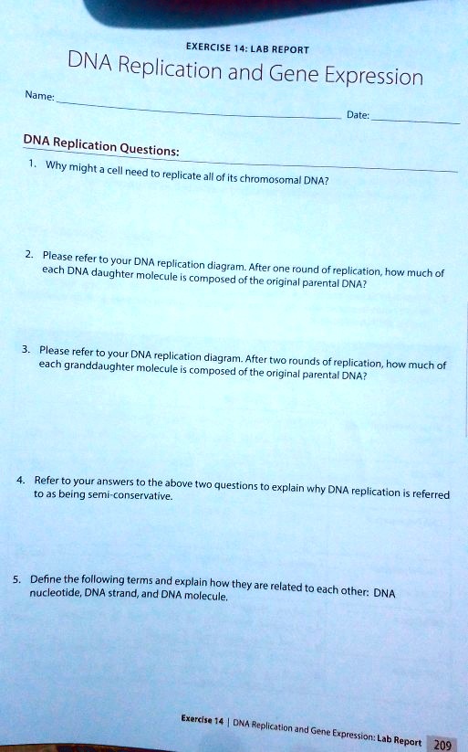 Name: EXERCISE 14: LAB REPORT DNA Replication and Gene Expression Date: DNA Replication ...