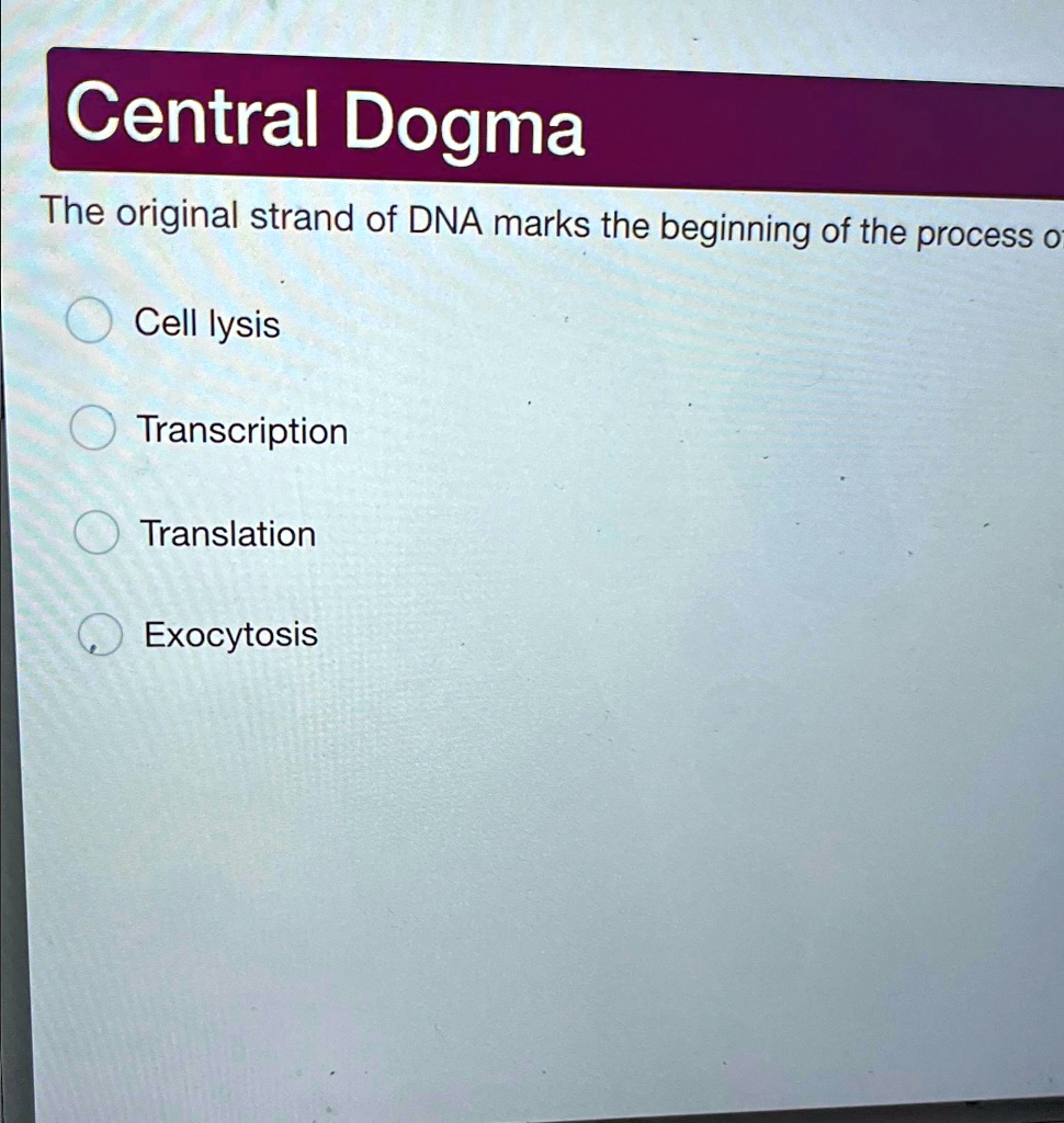 Central Dogma The original strand of DNA marks the beginning of the ...