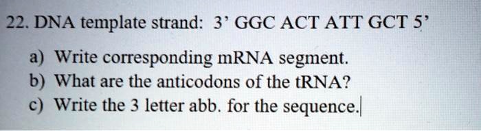22. DNA template strand: 3 ' GGC ACT ATT GCT 5' a) Write corresponding mRNA segment b) What are ...