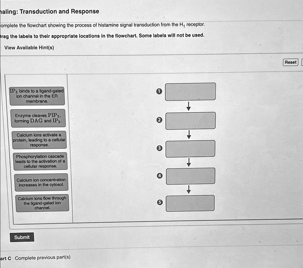 healing transduction and response complete the flowchart showing the ...