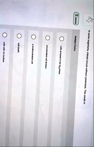 in some organisms mitosis occurs without cytokinesis this results in multiple choice cells ...