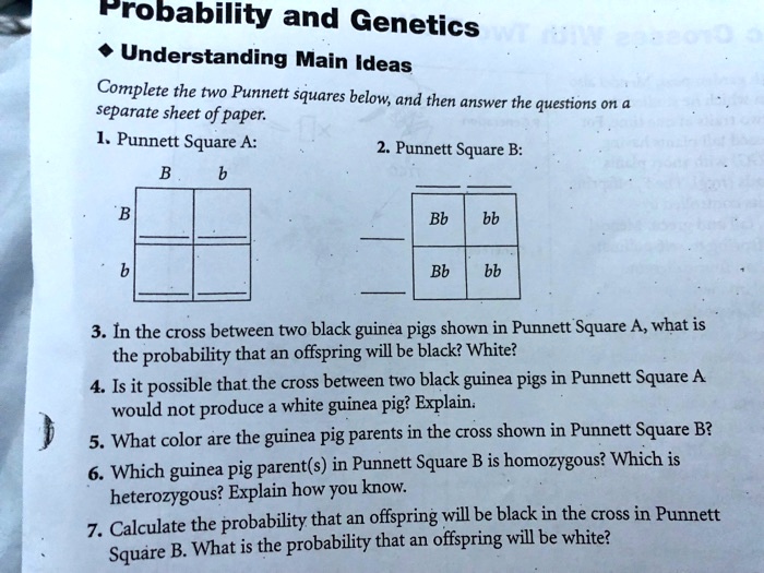 SOLVED:probability and Genetics Understanding Main Ideas Complete the ...