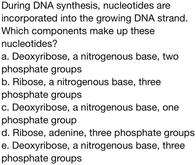 during dna synthesis nucleotides are incorporated into the growing dna ...