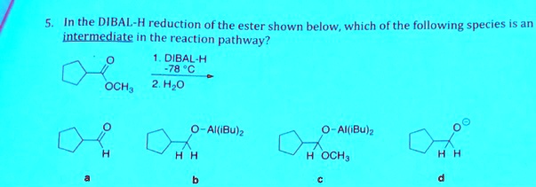 SOLVED: In the DIBAL-H reduction of the ester shown below; which of the ...
