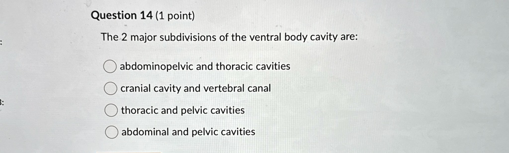 Question 14 (1 point) The 2 major subdivisions of the ventral body ...