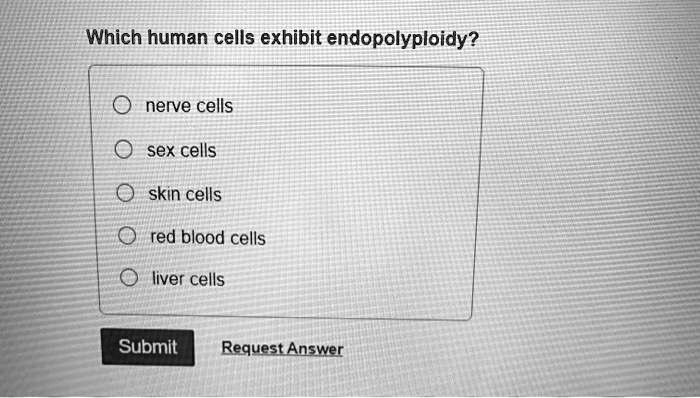 SOLVED: Which human cells exhibit endopolyploidy? - Nerve cells - Sex ...
