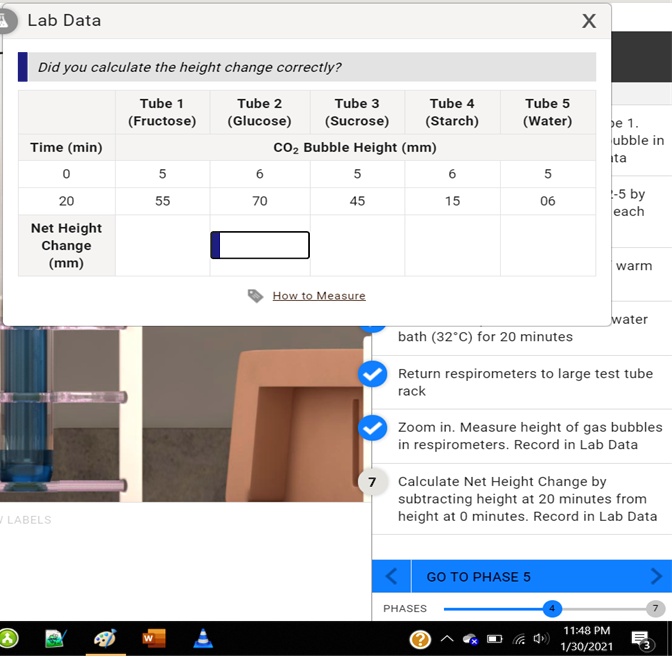 lab data did you calculate the height change correctly tube fructose ...