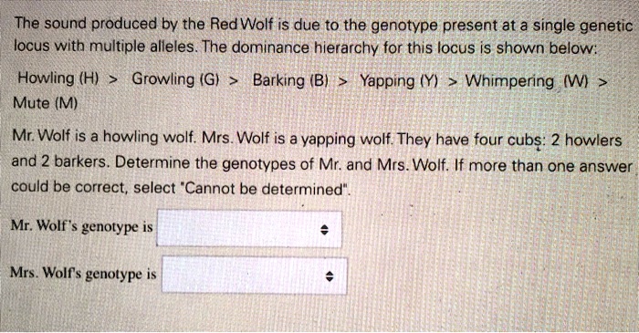 SOLVED: The sound produced by the Red Wolf is due to the genotype ...