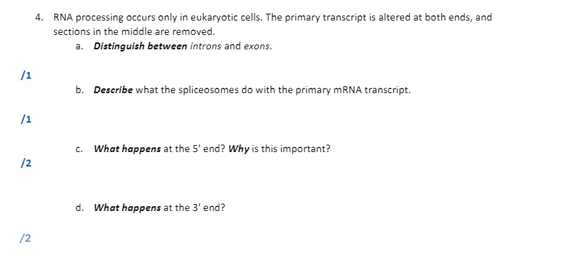 4. RNA processing occurs only in eukaryotic cells. The primary ...