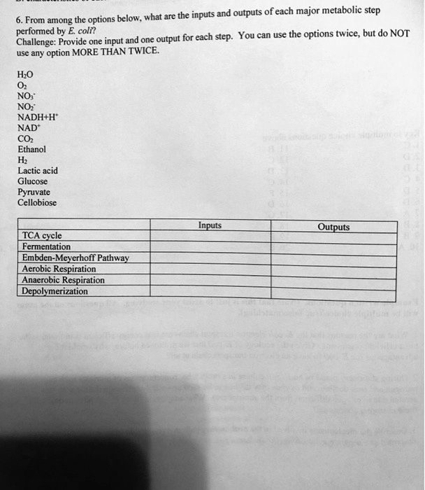 6. From among the options below, what are the inputs and outputs of each major metabolic step ...
