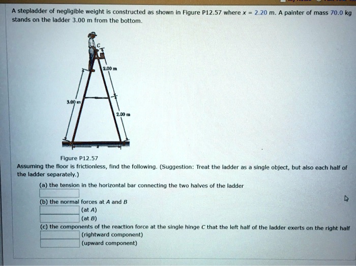 SOLVED: A stepladder of negligible weight is constructed as shown in ...