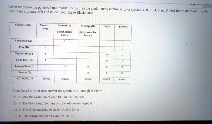 SOLVED: Given the following polarized trait matrix, reconstruct the evolutionary relationships ...