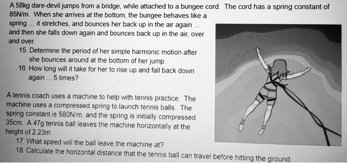 SOLVED: A 58kg dare-devil jumps from bridge , while attached to bungee ...