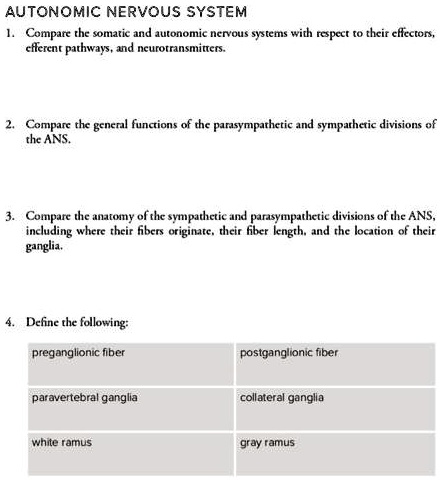 SOLVED: AUTONOMIC NERVOUS SYSTEM Compare the somatic and autonomic nervous systems with respect ...