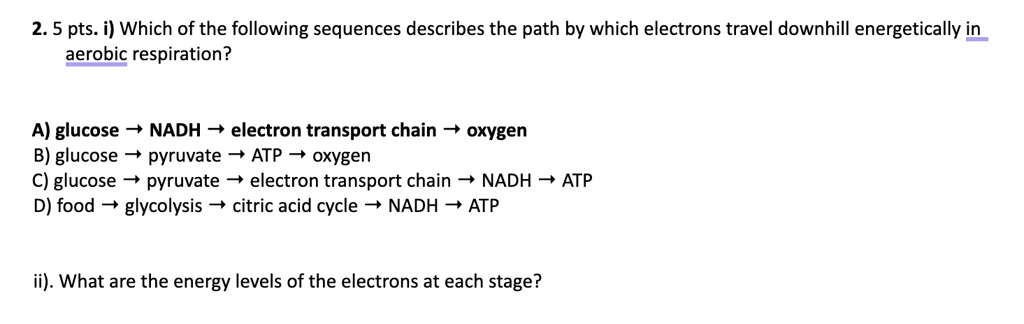 2. 5 pts. i) Which of the following sequences describes the path by ...
