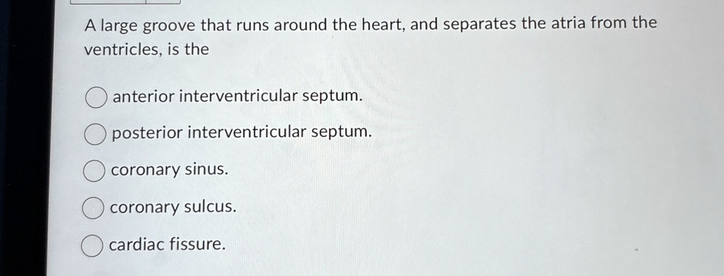 a large groove that runs around the heart and separates the atria from ...