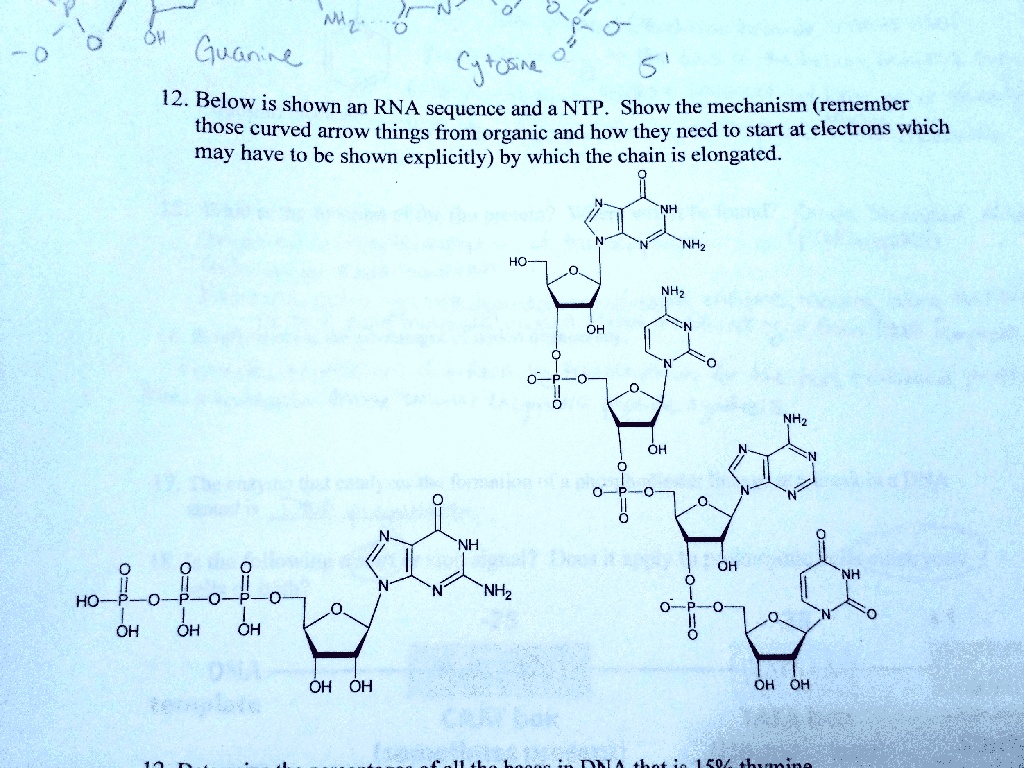 12. Below is shown an RNA sequence and a NTP. Show the mechanism (remember those curved arrow ...