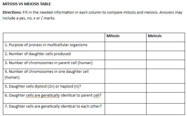 SOLVED: MITOSIS VS MEIOSIS TABLE Directions: Fill in the needed ...