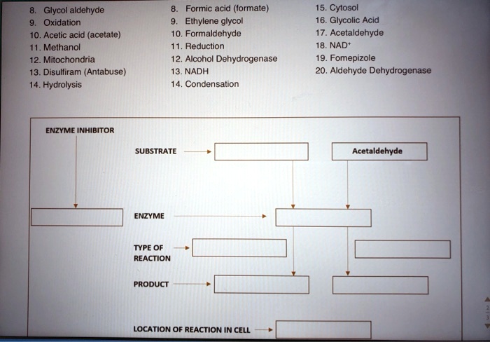 SOLVED: Glycol aldehyde Oxidation Formic acid (lormate) Ethylene glycol ...