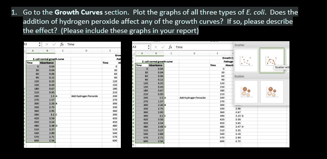 1. Go to the Growth Curves section. Plot the graphs of all three types of E. coli. Does the ...