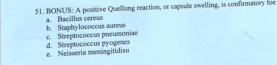SOLVED: BONUS: A positive Quellung reaction, or capsule swelling, is ...