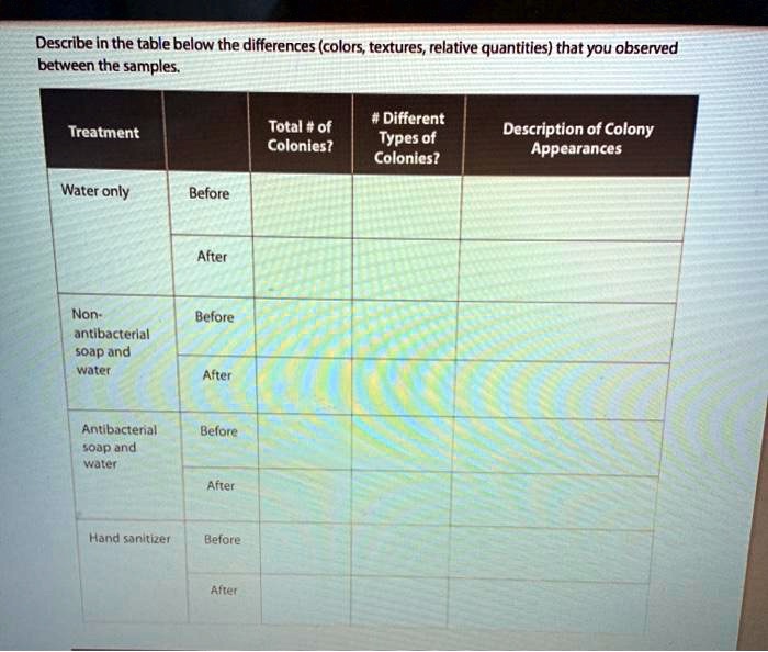 SOLVED:Describe in the table below the differences (colors; textures ...