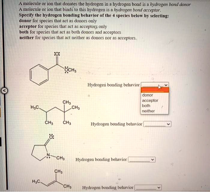 SOLVED: A molecule Or ion that donates the hydrogen in a hydrogen bond ...