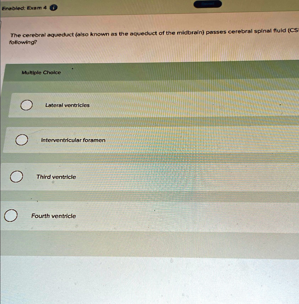 enabled exam 4 the cerebral aqueduct also known as the aqueduct of the ...