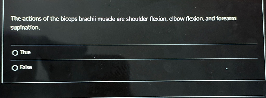 The actions of the biceps brachii muscle are shoulder flexion, elbow ...