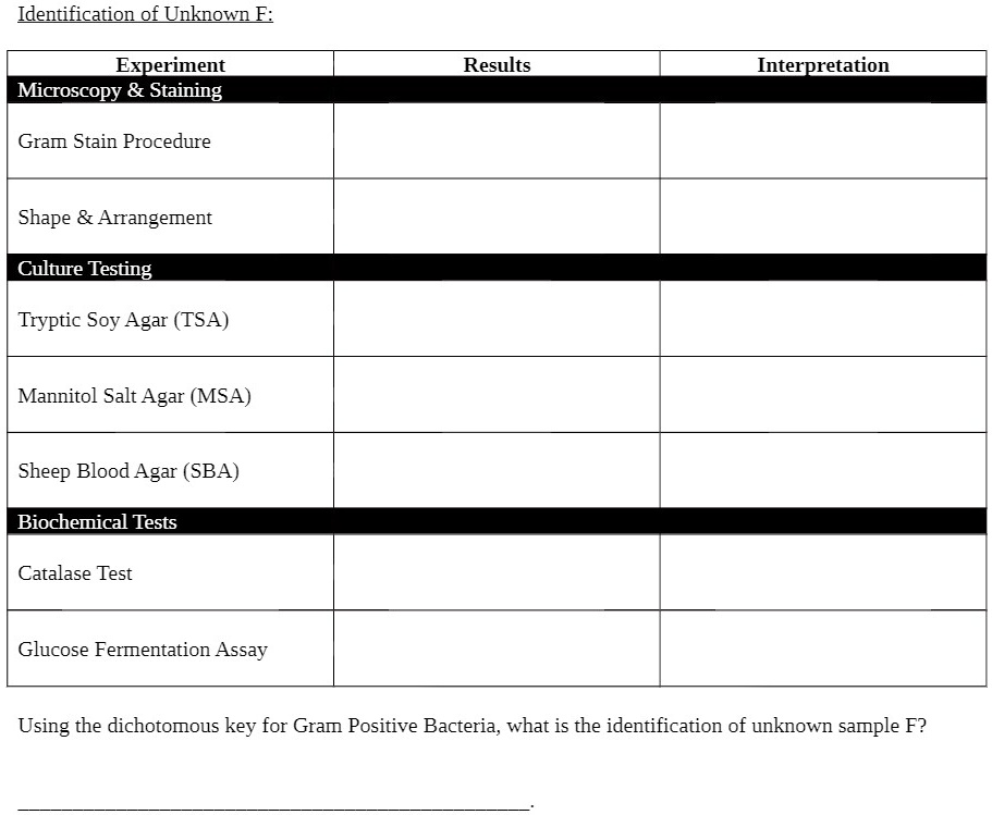 Identification of Unknown F: Experiment Microscopy Staining Gram Stain ...
