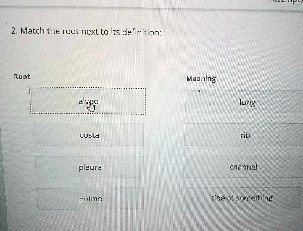 2 match the root next to its definition root meaning lung alveo costa ...